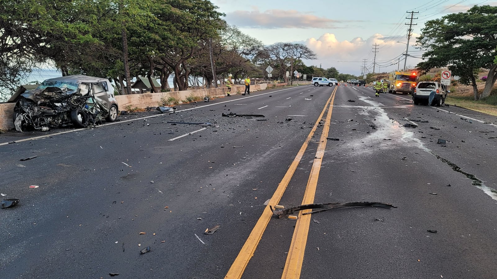 Maui Police Identify 3 Victims Killed In Fiery Lahaina Crash